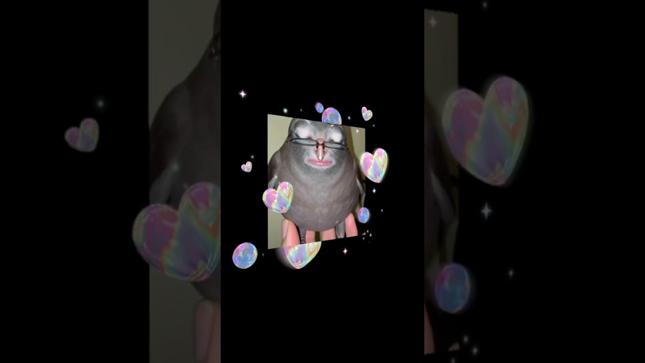 Bird with egg on head with glasses and standing on a hand #memes #meme #bird #egg #eggs