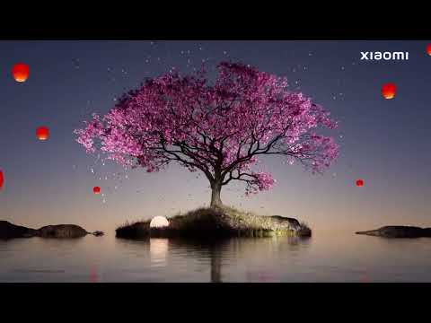 XIAOMI A Series 108 cm (43 inch) Full HD LED Smart Google TV with 200 ...