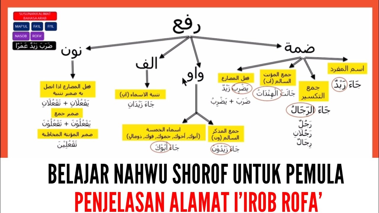 Belajar Nahwu Shorof bahasa Arab untuk pemula (Penjelasan Alamat I'irob Rofa')