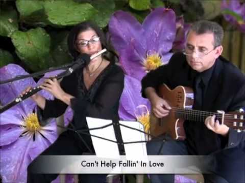 Hire Peter Simms - Guitarist - Guitarist in Venice, Florida