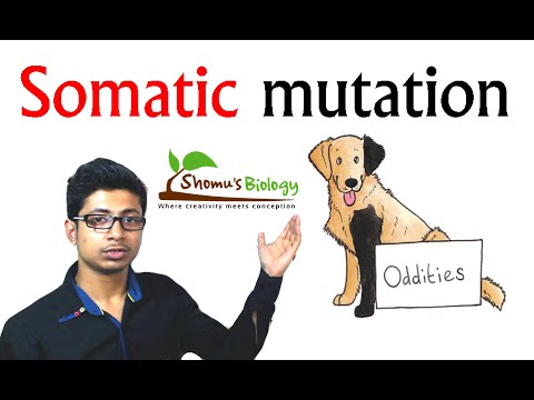 Somatic mutation