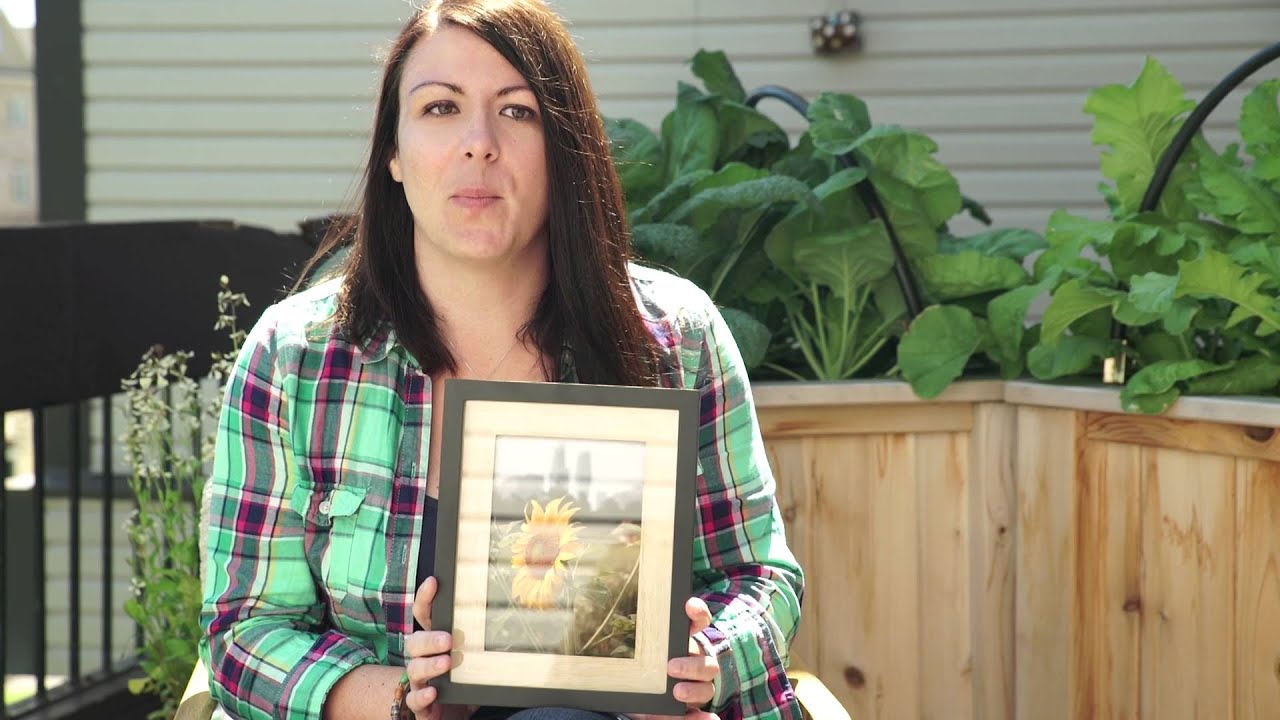 Ecosource's Evaluation Project: TARA BENSON