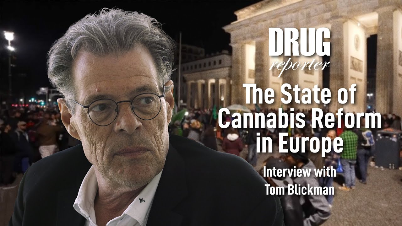 The State of Cannabis Reform in Europe | Interview with Tom Blickman at the UN