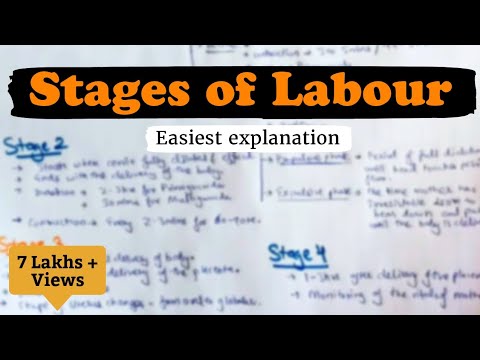 Stages of Labour - Labour - Easily explained - Hindi