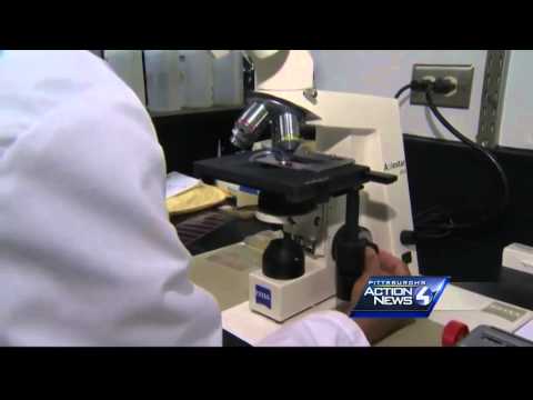 New pill could revolutionize allergy treatment