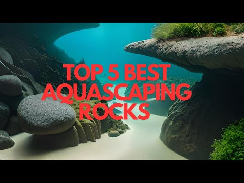 Top 5 Best Aquascaping Rocks: Affordable Gems for $100-$200 | Aquatic Decor Guide 2023