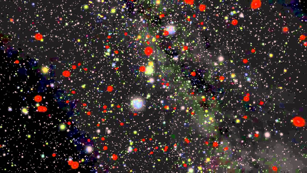 WISE Finds Few Brown Dwarfs Close to Home