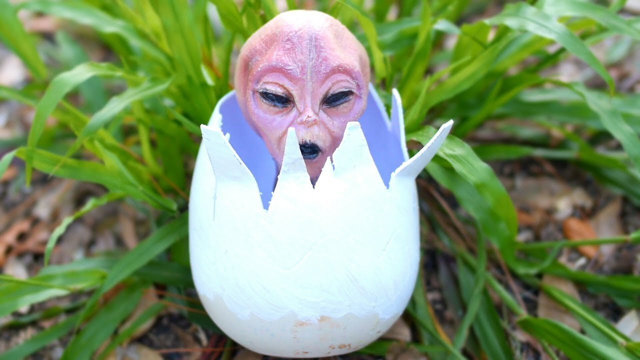 BABY ALIEN HATCHES!