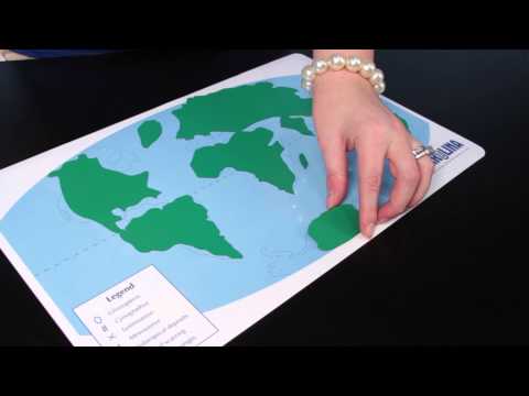 Pangaea Puzzle
