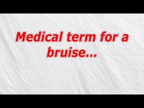Medical term for a bruise (CodyCross Crossword Answer)