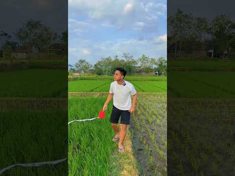 Layangan kecil vs besar