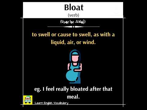 Bloat | Learn English Vocabulary