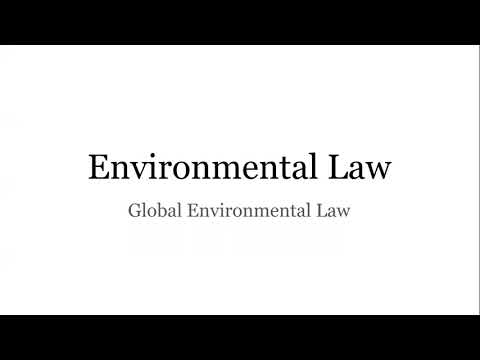 Environmental Law: Global Environmental Law