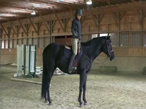 Help with with my two-point position please! :) : r/Equestrian
