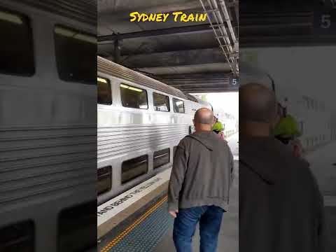 How to use Public Transport in Sydney NSW #shorts #travel #city