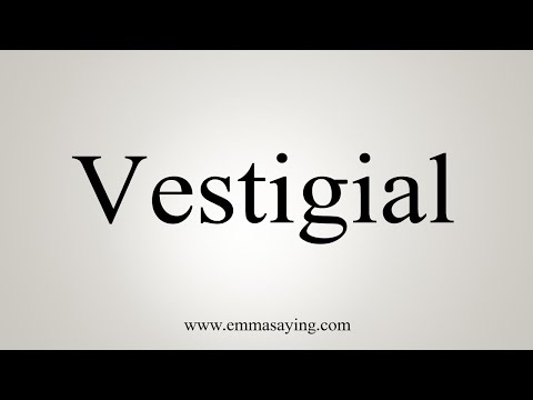 How To Say Vestigial