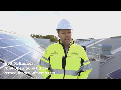 Pernod Ricard Winemakers: First Large Australian Wine Company to Achieve 100% Renewable Electricity