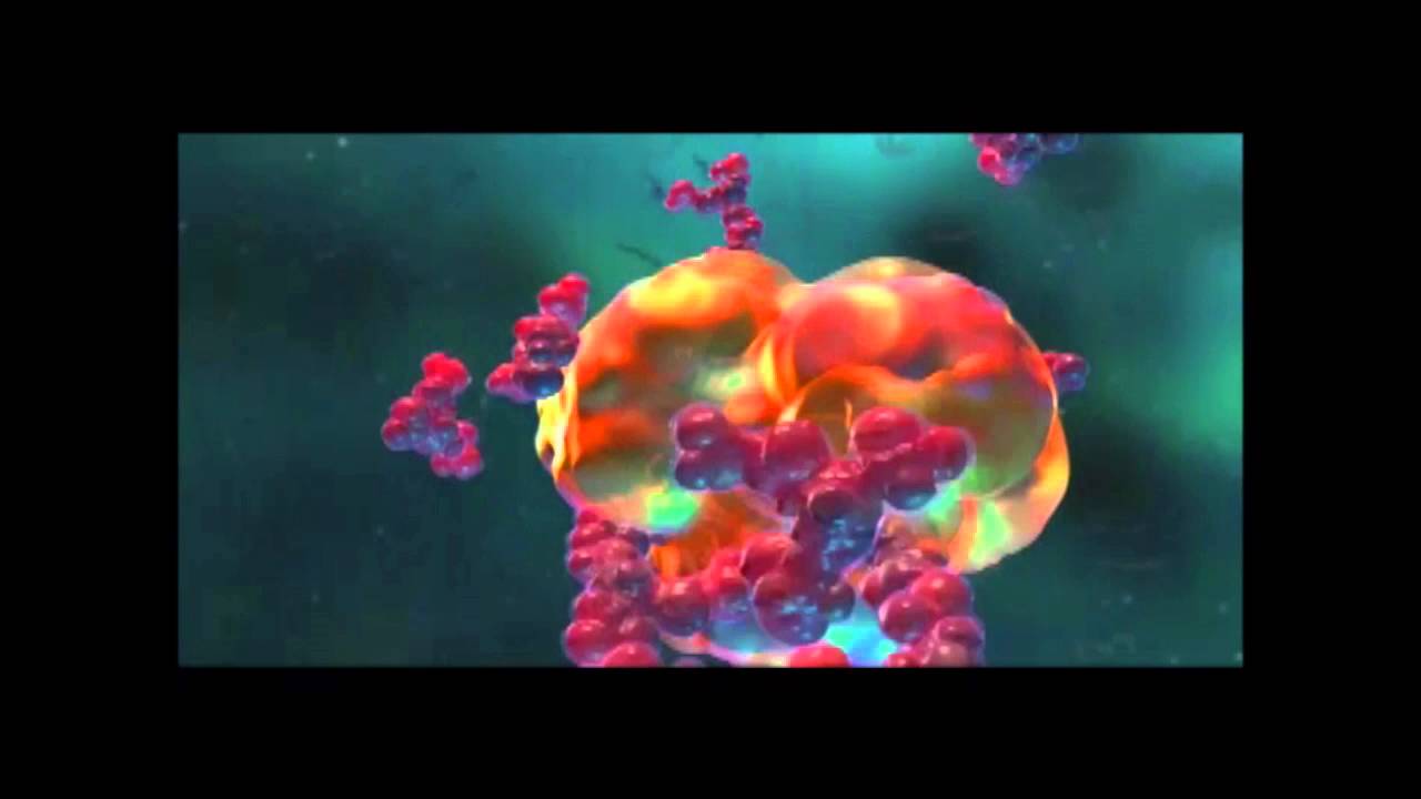 FilmArray System Demo, BioFire Defense