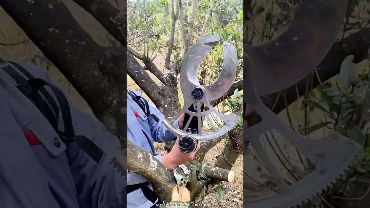 Electric Bamboo Cutting Shears，Can also be used to trim thick tree branches. #tools #work