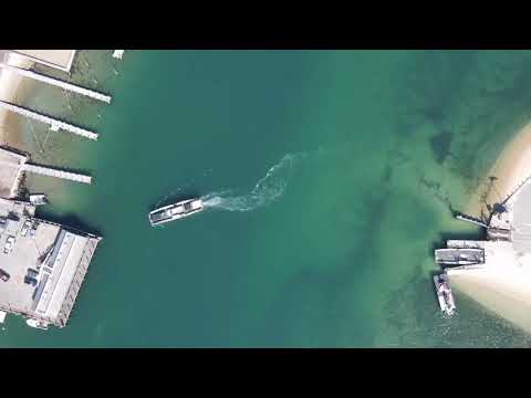 Chappy Ferry