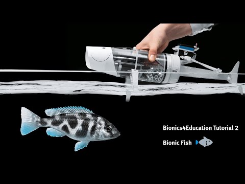 The Fin Ray® Paper Kit – Technology for schools – Learning Systems ...