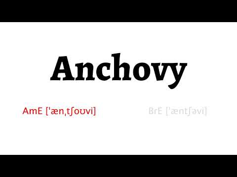How to Pronounce anchovy in American English and British English