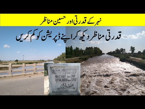 Nature vlog | Jhang Branch Upper Level Nehr | Nehr Ka Manzir | City Vlogs Official