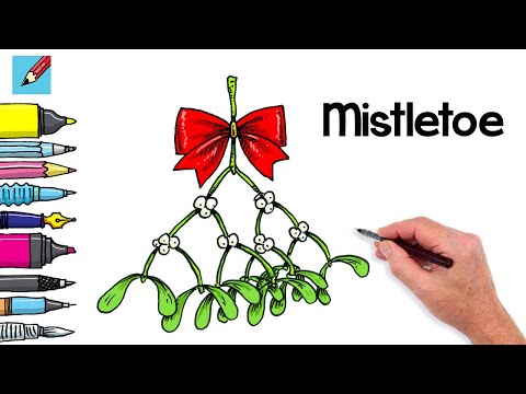Draw Christmas Mistletoe Real Easy – Shoo Rayner