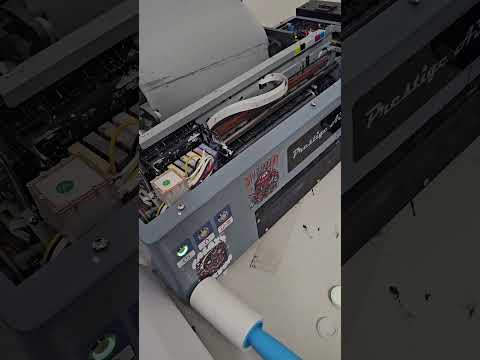Prestige A3+ Printer Paper Feed Issues can someone please help