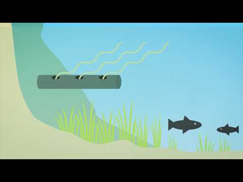 Sewer Overflows