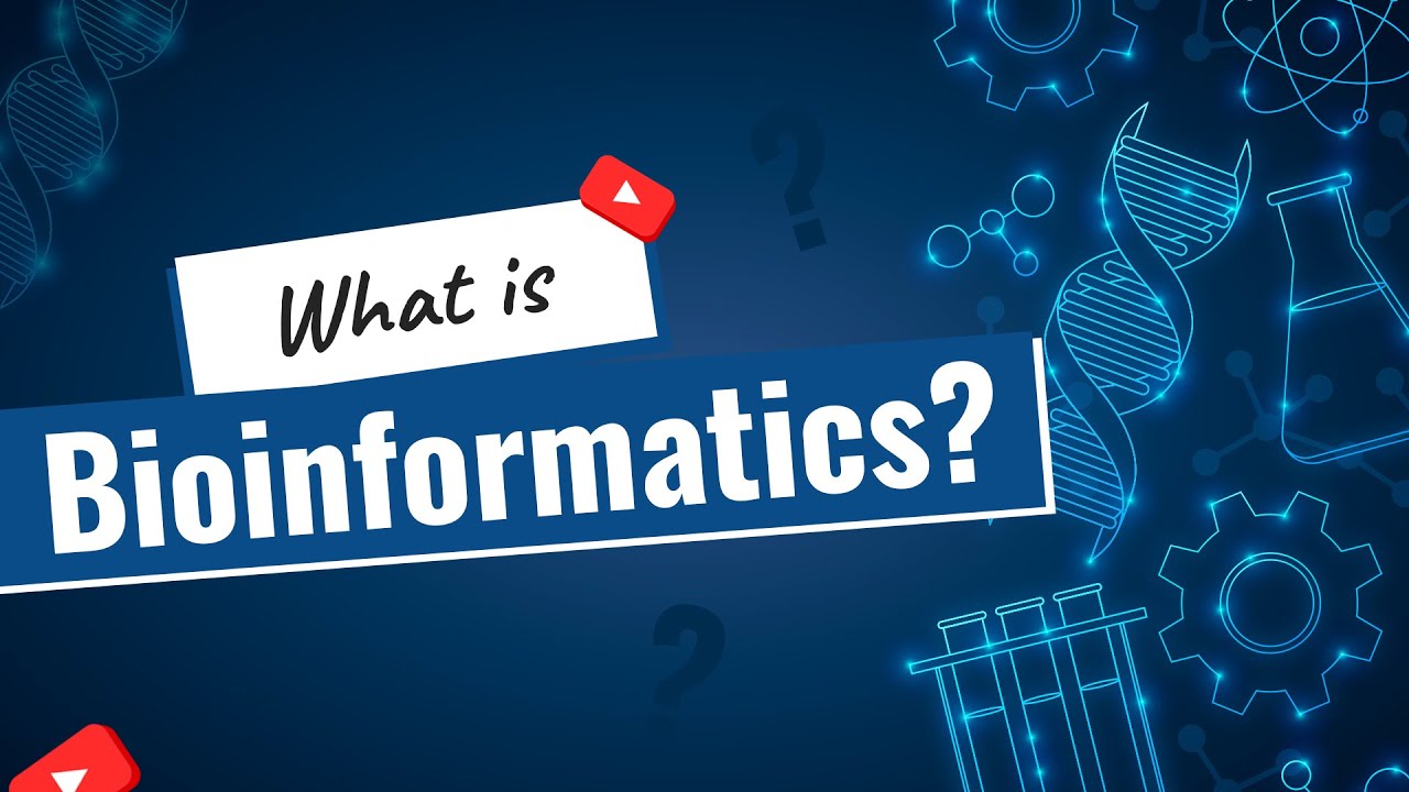 What is Bioinformatics? | Career Opportunities in Bioinformatics | Docthub