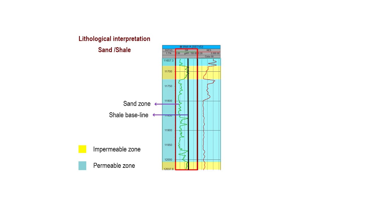 Hydrocarbon reservoir descriptions using well logs
