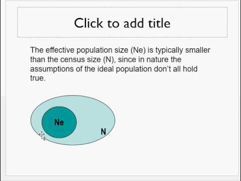 BIOL3468 Conservation Genetics 5 Effective Population Size