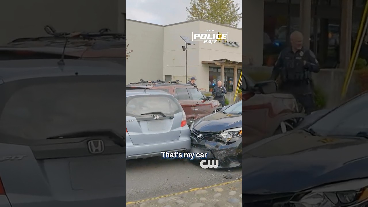 Stolen Puppy #police #cops #arrest