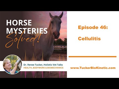 Understanding Cellulitis in Your Horse