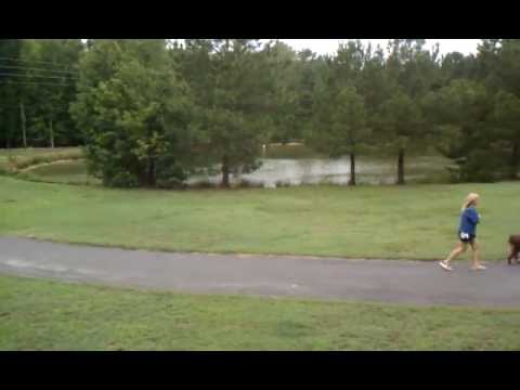 Irene Comes to Apex NC