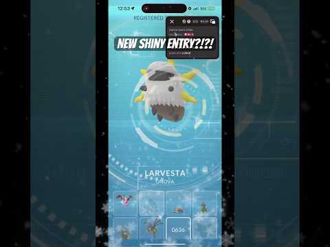 4 shiny kyogres and a new shiny entry?!?🔥👀 #fyp #pogotv #pokemon #shinypokemon #pokemongo #fypage