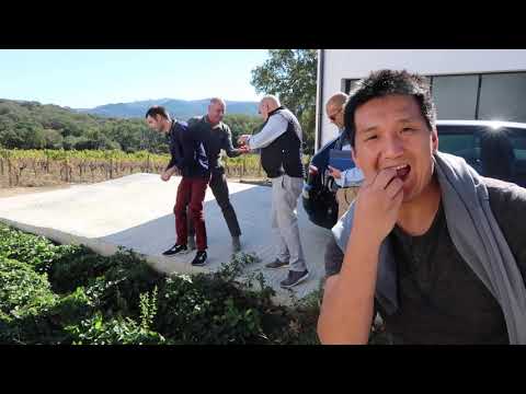 Italian Wine: The Vermentino Competition Sardinia