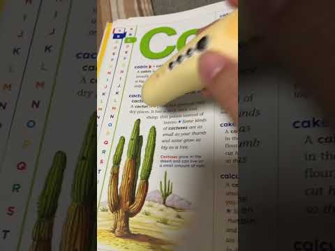 メルカリで買ったピクチャーディクショナリー!日本のタッチペン対応の辞書より発音がずっと綺麗な気がします♪