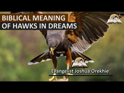 Biblical Meaning of HAWK In Dreams - Spiritual Meaning of Hawks