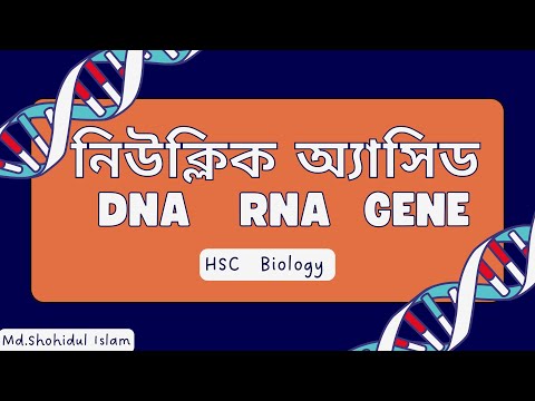 নিউক্লিক অ্যাসিড ,ডিএনএ ,আরএনএ, জিন। Nucleic acid,DNA,RNA, Gene. HSC Biology. Botany chapter 1.