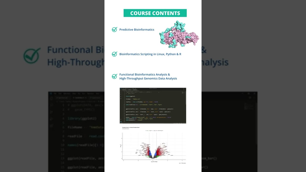 Functional Bioinformatics Internship