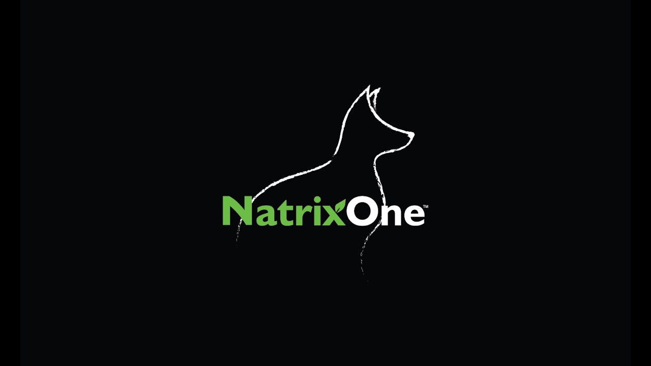 NatrixOne Omega3 / Anti-Inflammatory Canine Supplement