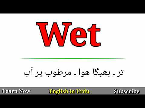 Wet Meaning in Urdu