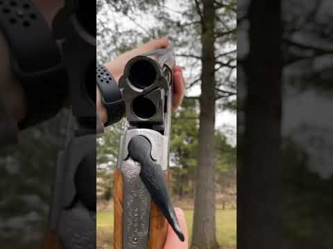 Italian Angelo Zoli 12 gauge Shotgun 🤌🏼🇮🇹