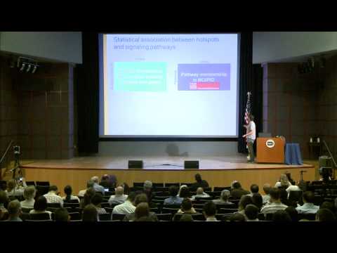 Mutation Hotspots Associate with Gene Expression, Signaling Pathways... - Theo Knijnenburg