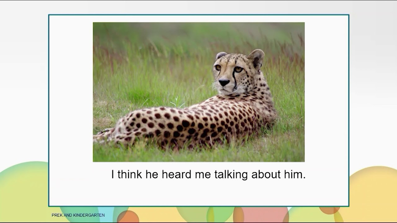 Patterns Everywhere - Math, Pre-K - Kindergarten, Unit R, Video 3