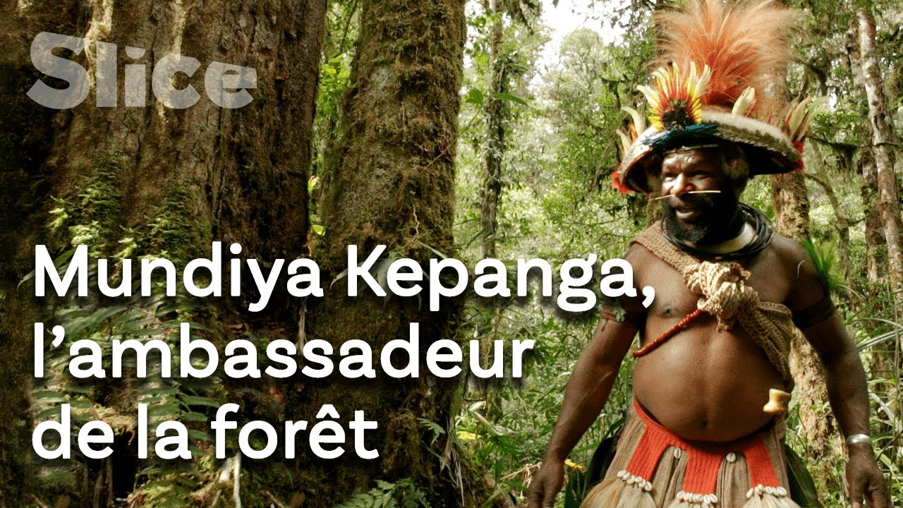 Documentaire | Le chef papou qui relaie le cri de la forêt