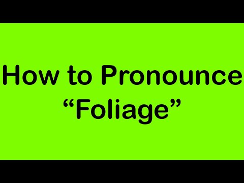 How to Pronounce Foliage