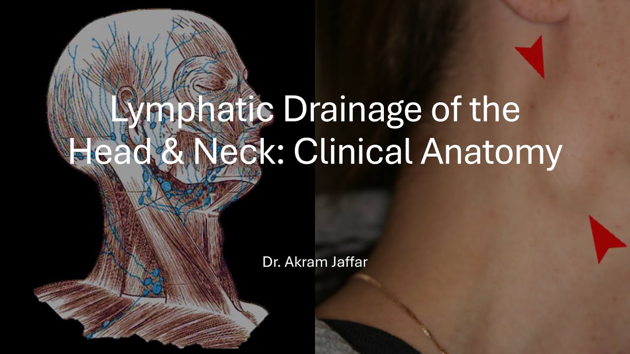 Lymphatic Drainage of the Head and Neck: Clinical Anatomy